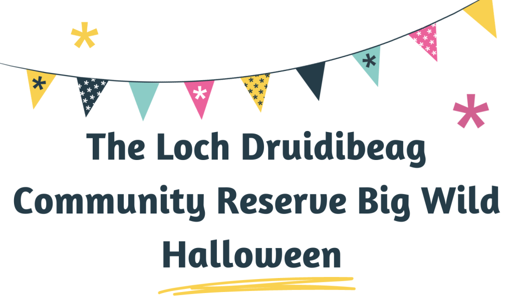 Stòras Uibhist – Community Land Scotland